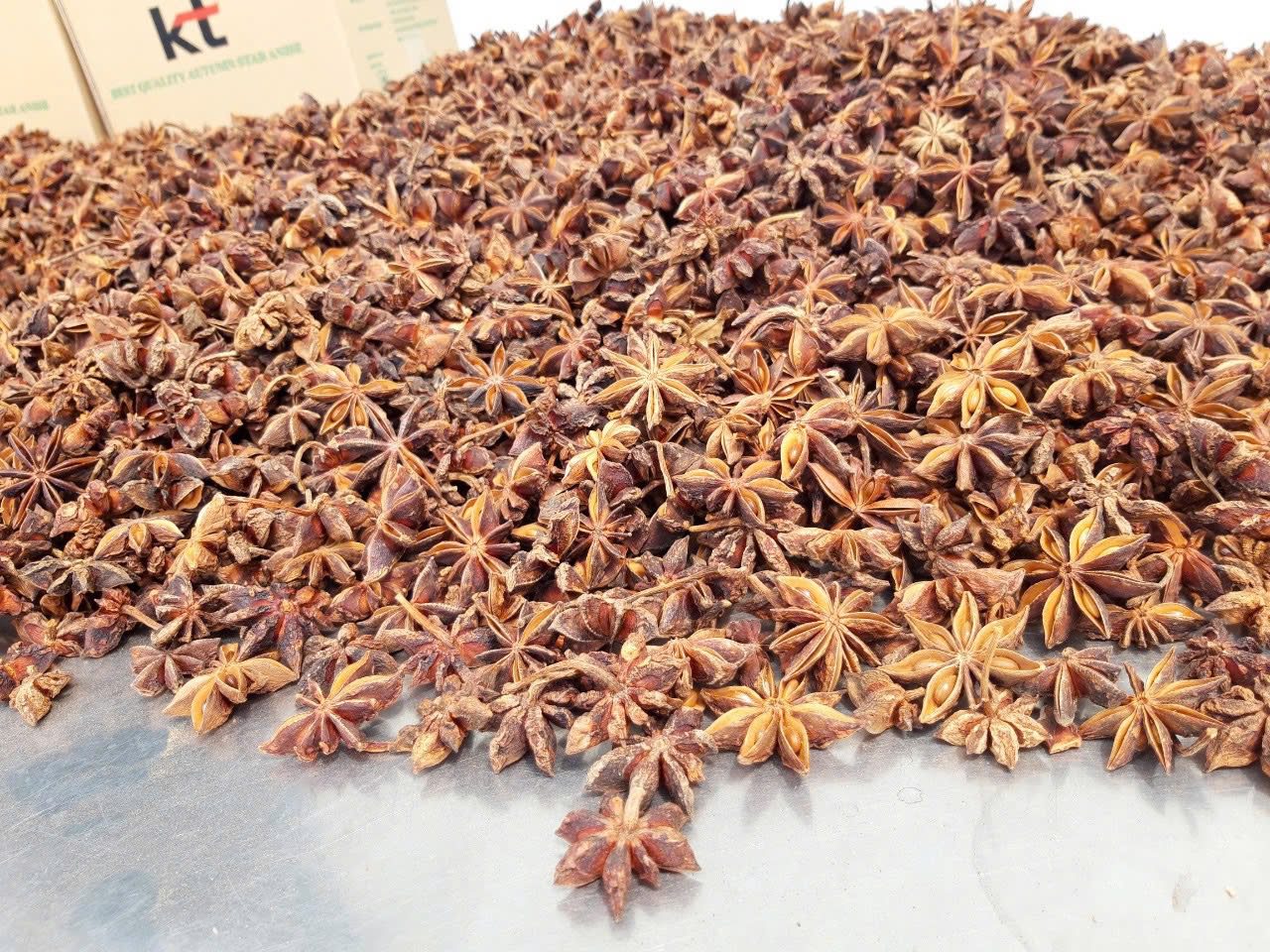 Autumn Star Anise – AVC Farm