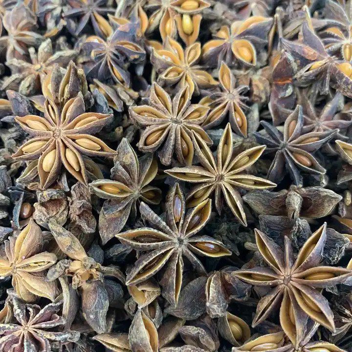 Canhdan Star Anise - AVC Farm