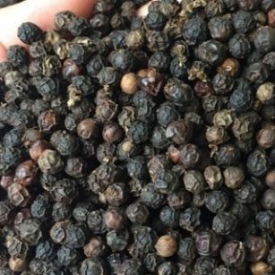 TIÊU ĐEN HẠT NHẸ (LIGHT BERRY) - AVC Farm